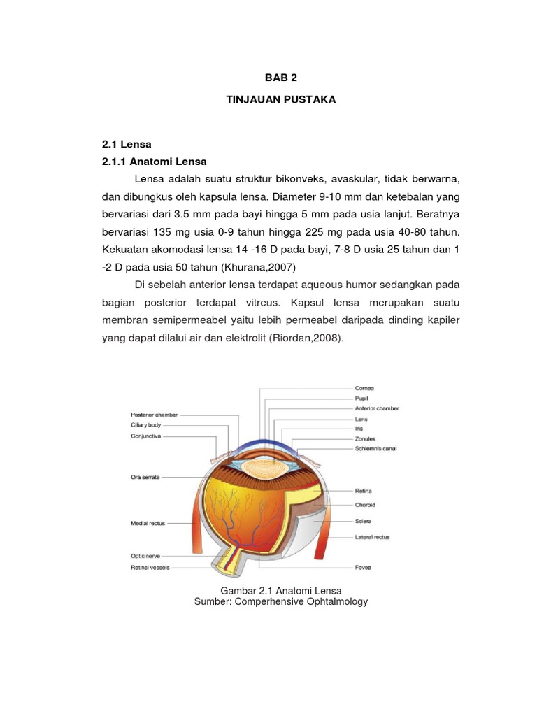 BAB 2 Anatomi Lensa | PDF