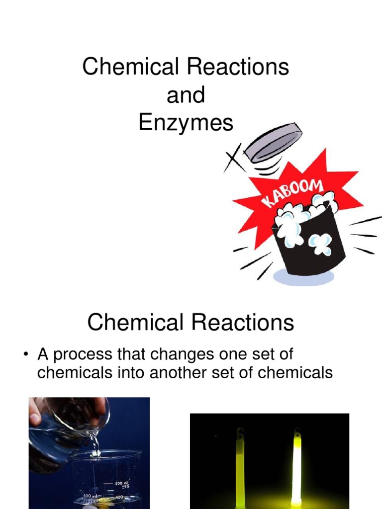 Enzymes and Chemical Reactions | PDF | Chemical Reactions | Enzyme