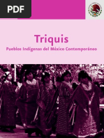 Pueblo Triqui: Cultura y Ubicación | PDF