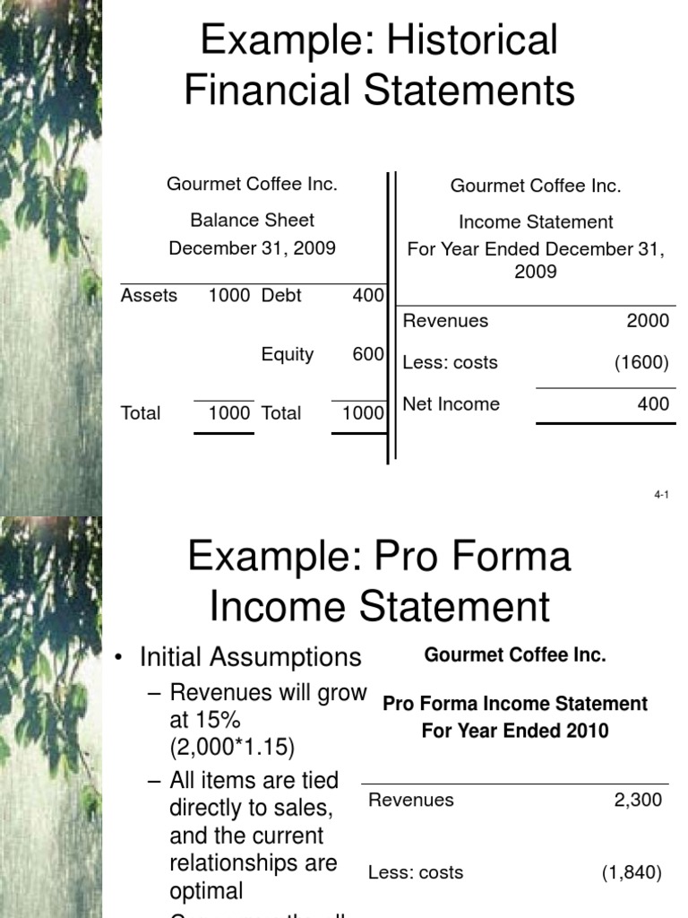 Example: Historical Financial Statements | PDF | Balance Sheet | Dividend