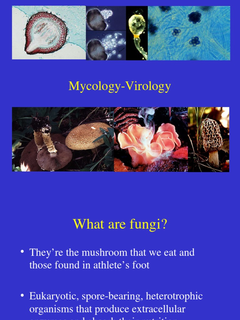 Mycology Virology | Fungus | Sexual Reproduction
