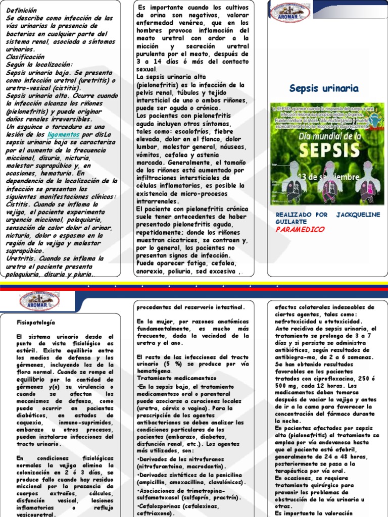Sepsis urinaria: definición, clasificación, fisiopatología ...