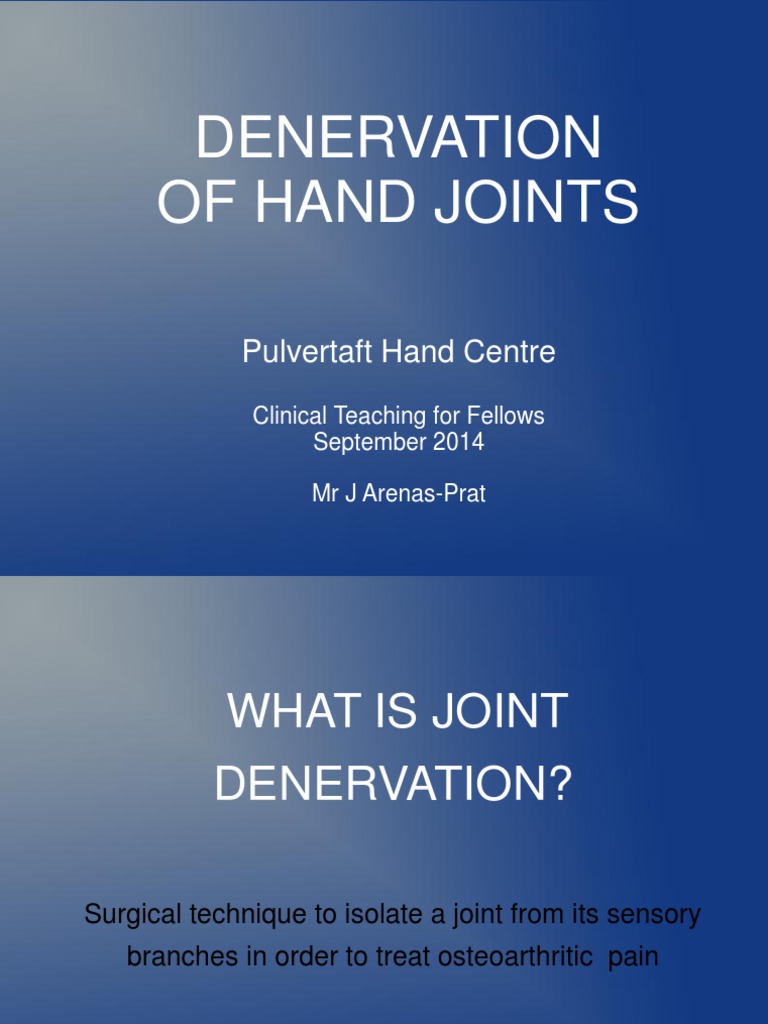 Denervation of Hand Joints | PDF | Joints | Musculoskeletal System