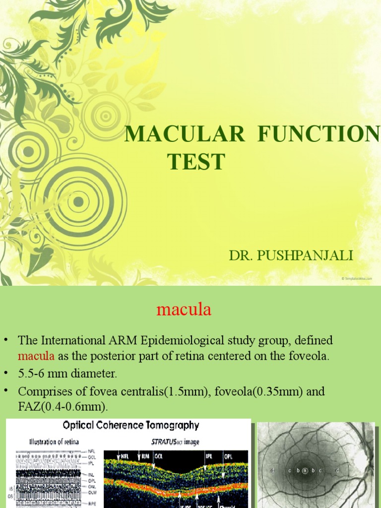 Macular Function Test | PDF | Retina | Visual Acuity