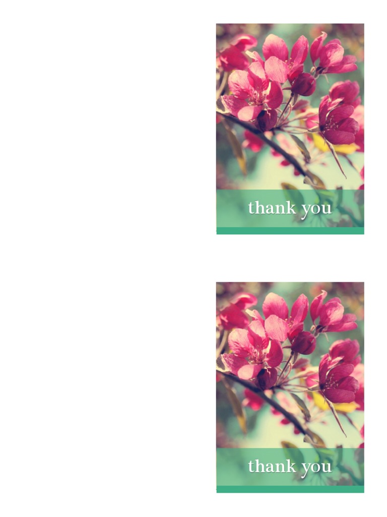 Thank You | PDF