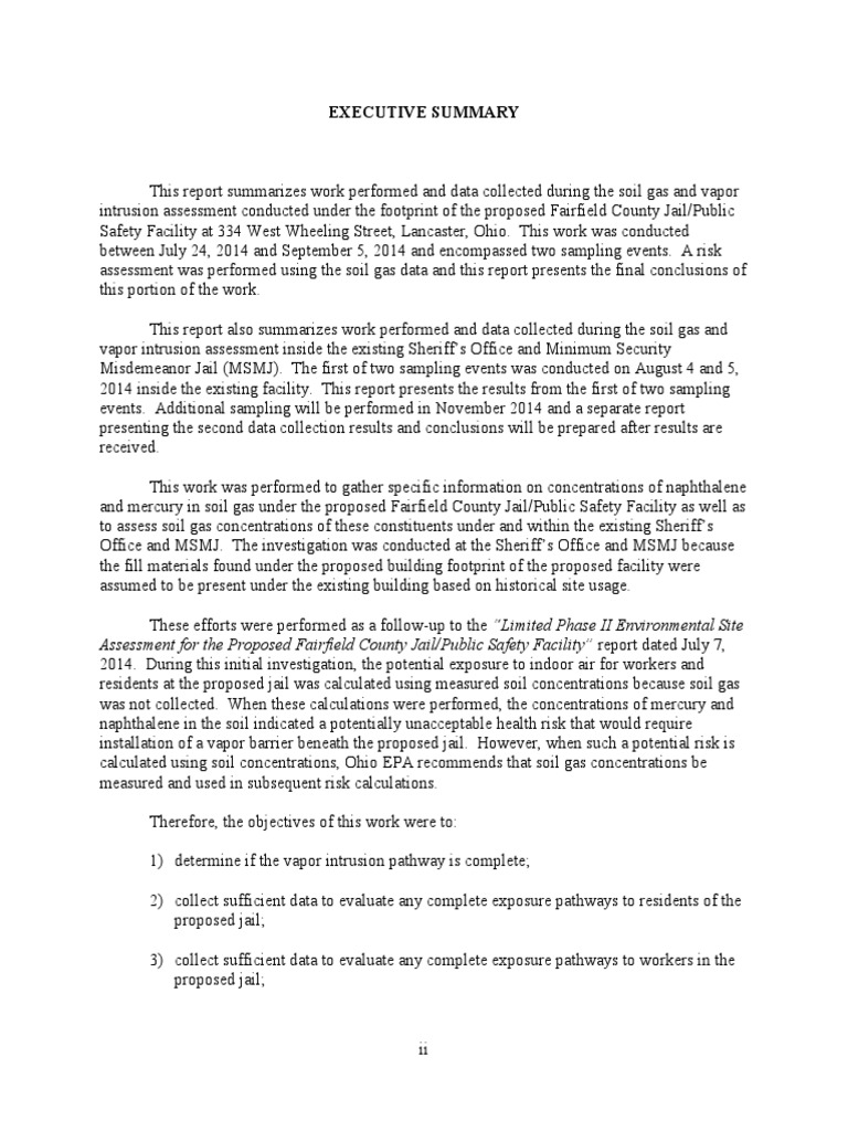 Executive Summary | PDF | Mercury (Element) | Risk