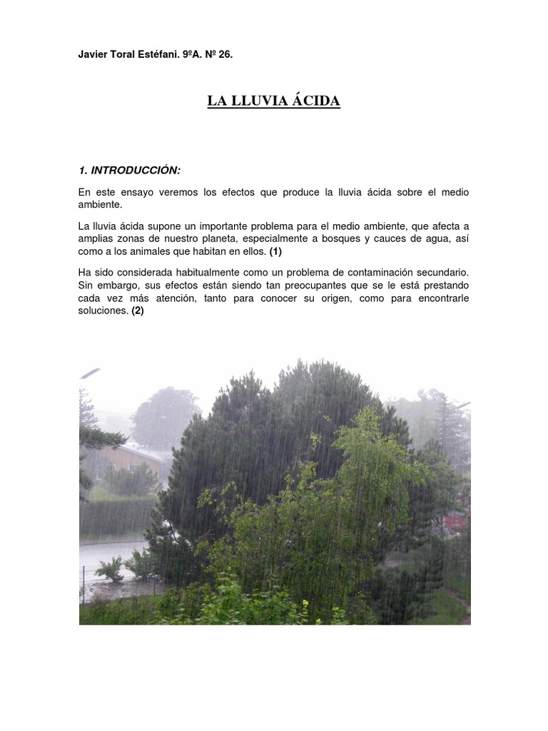 Los efectos de la lluvia ácida sobre el medio ambiente y posibles ...