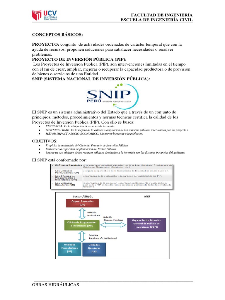 Informe Final - Proyecto de Inversion Publica | PDF | Riego | Science