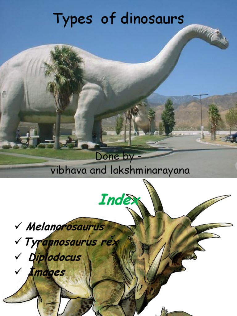Types of Dinosaurs Explained | PDF