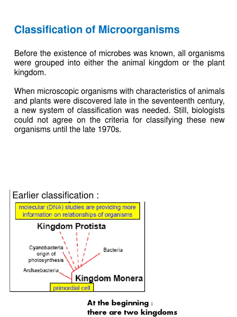 Archaea Pdf Archaea Bacteria
