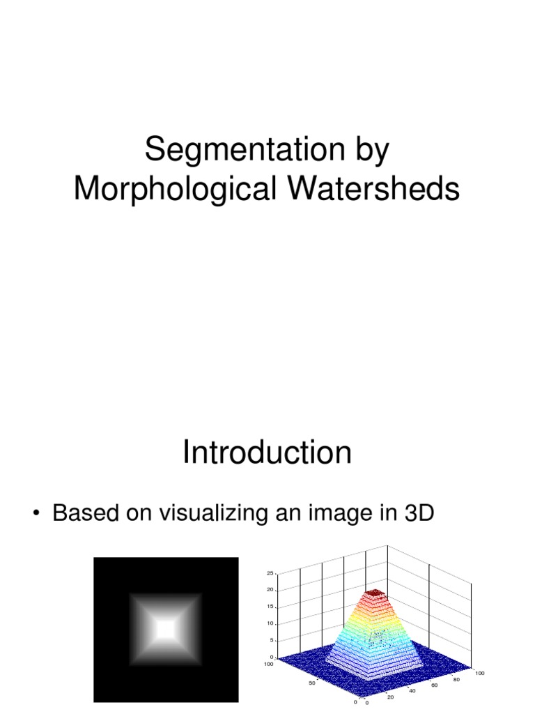 Watershed Segmentation Techniques | PDF | Image Segmentation | Computer ...