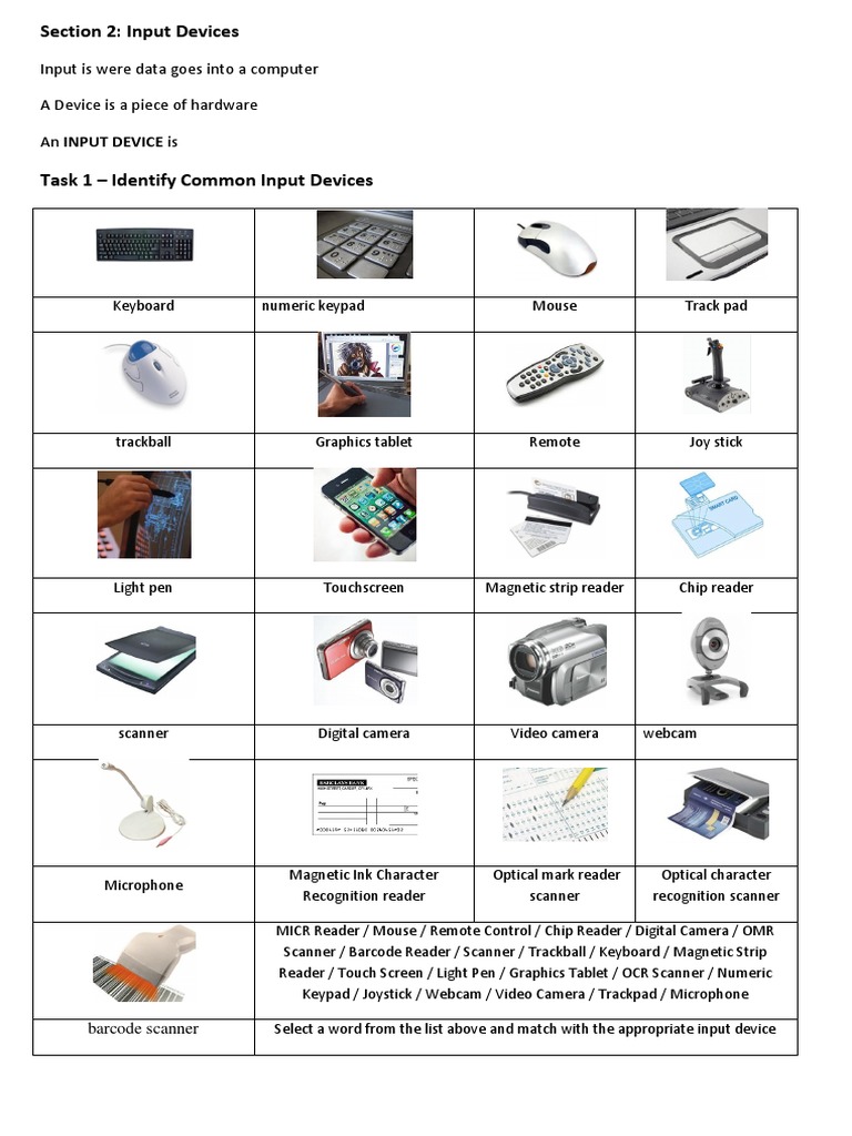Input Devices Worksheet