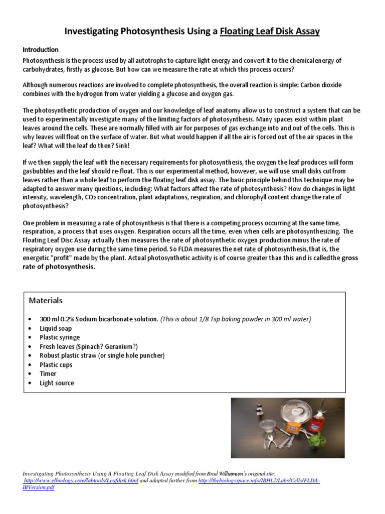 Floating Leaf Disk Assay For Year 11 | PDF | Photosynthesis | Chemistry
