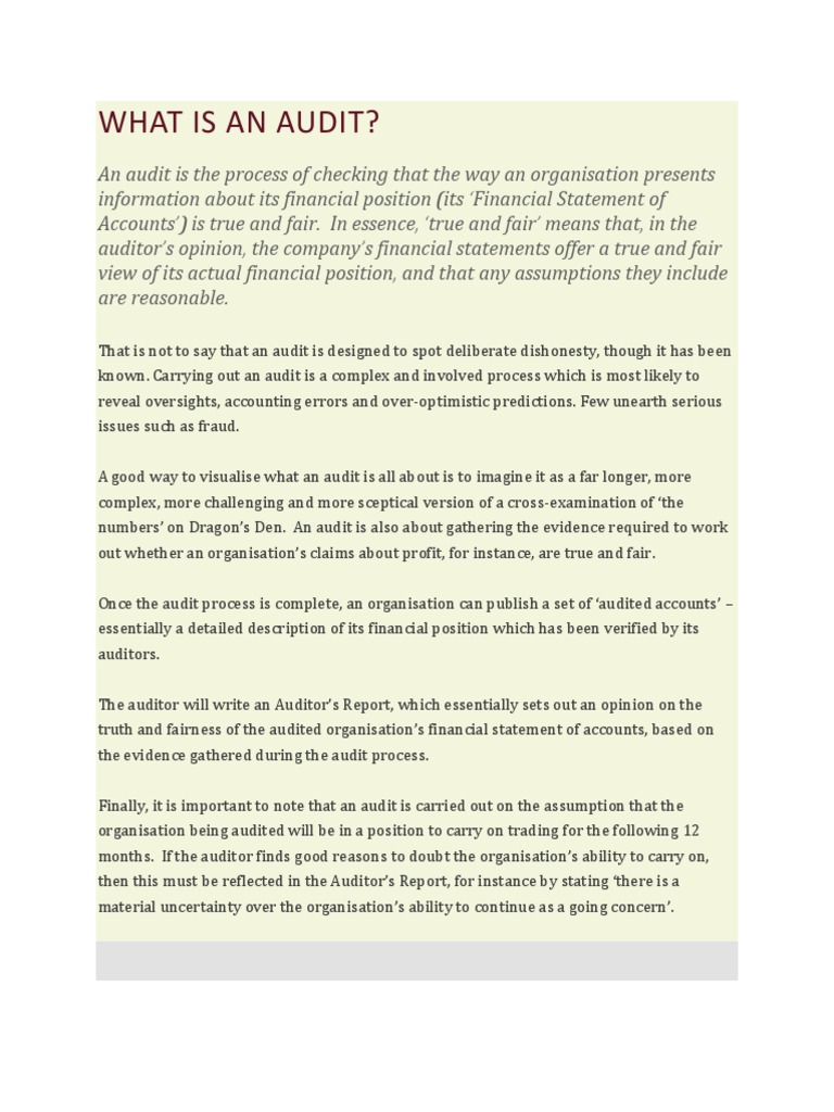 True and Fair View of Financial Statements | PDF | Financial Audit ...