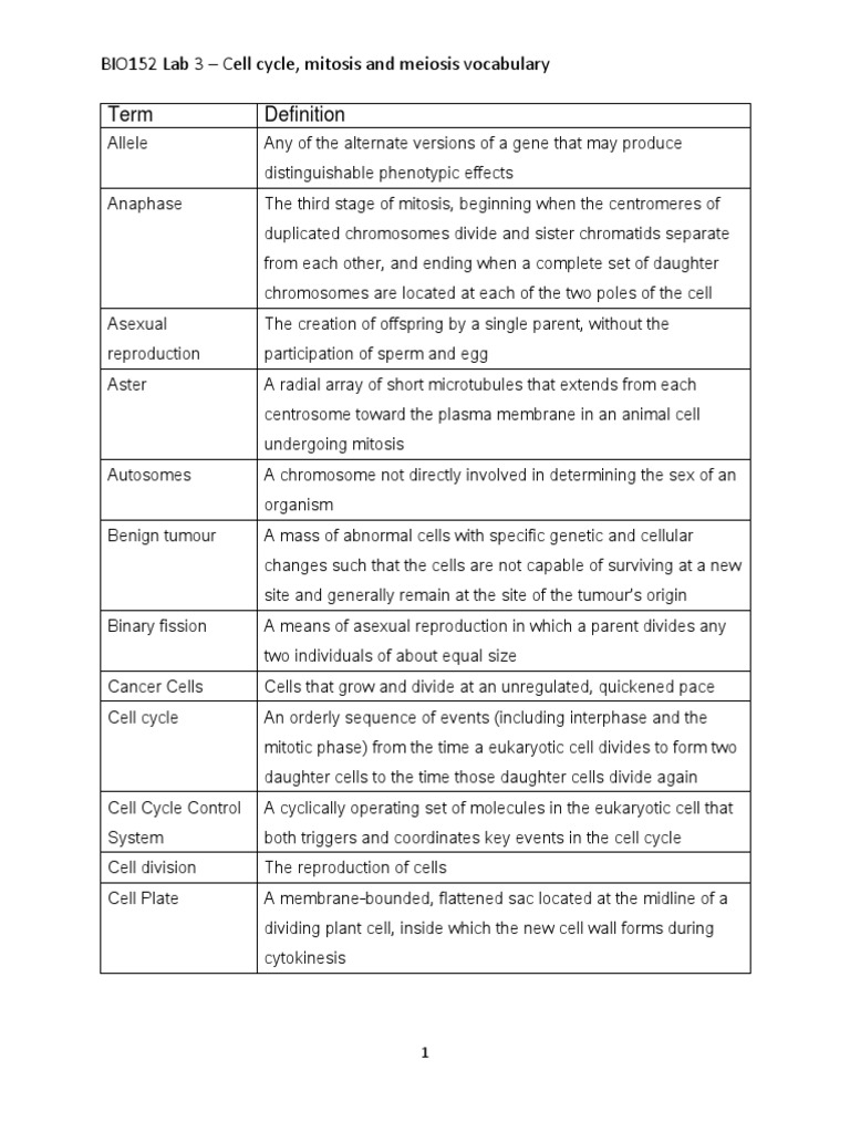 BIO152 Lab 3 Mitosis and Meiosis Vocabulary | Download Free PDF ...