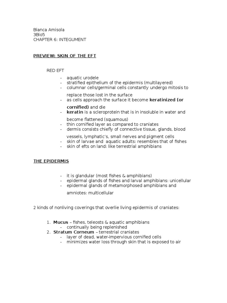 Chapter 6 - Integument | Download Free PDF | Epithelium | Skin