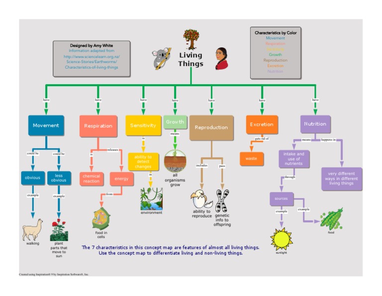 Living Things Concept Map | PDF