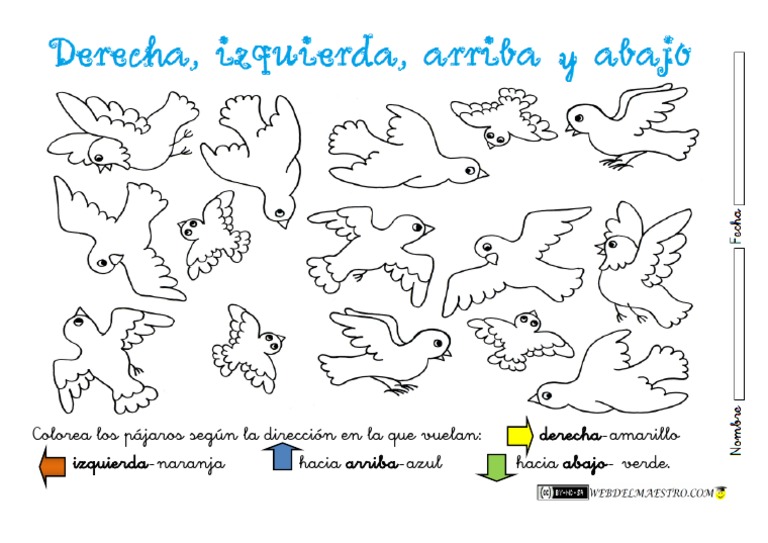 Orientaci N-Espacial PDF | PDF