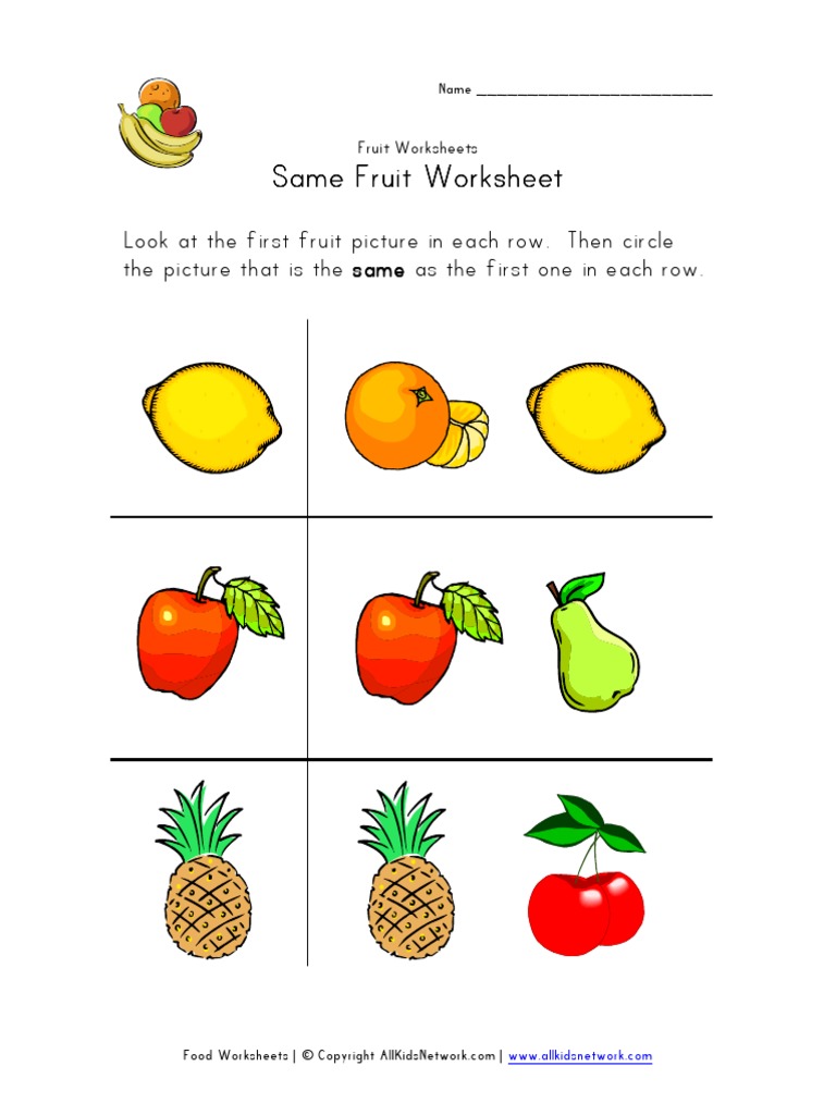 Same Fruit Worksheet | PDF