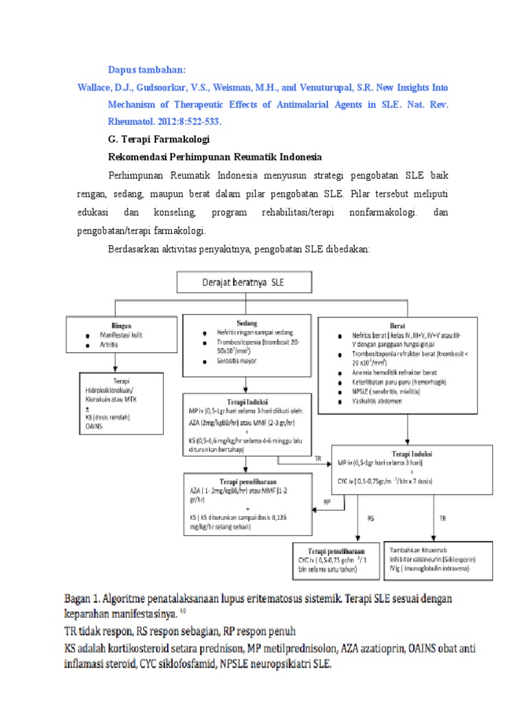 Terapi Farmakologi Dan Monitoring Terapi SLE | PDF