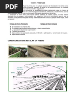 Estructura de Un Vivero Temporal y Permanente | PDF | Clima | Riego