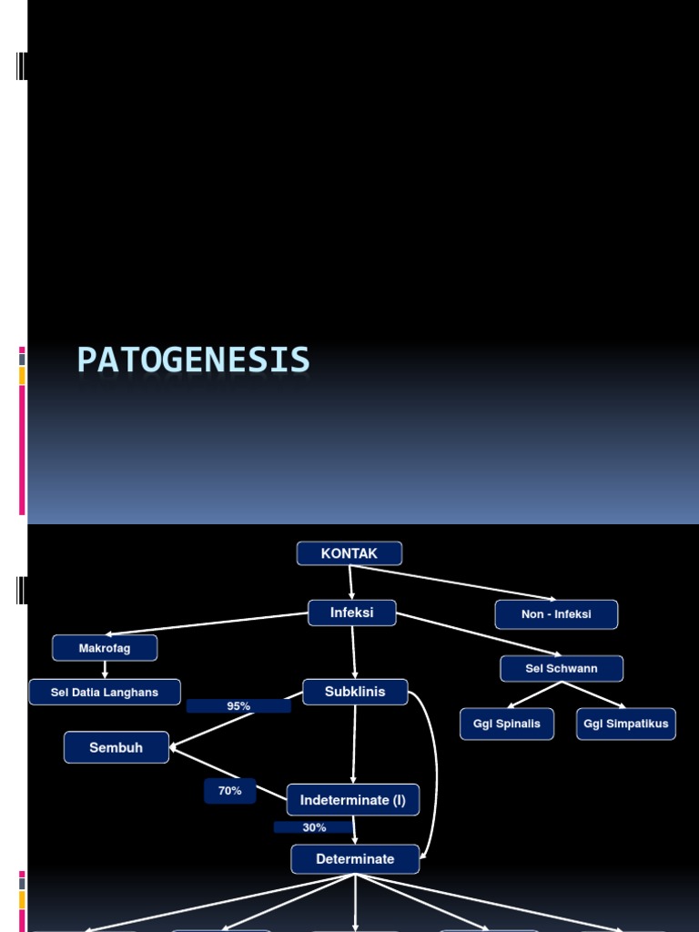 Patogenesis Morbus Hansen | PDF