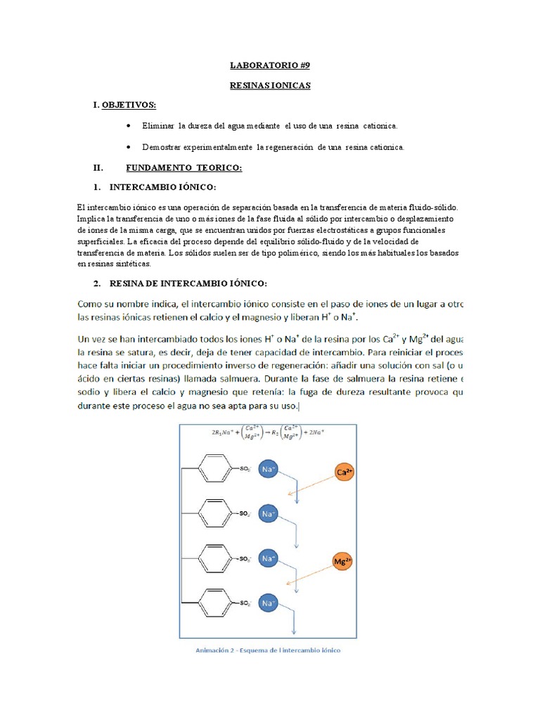 lab 6 INTERCAMBIO IÓNICO.doc | Ion Exchange | Ion