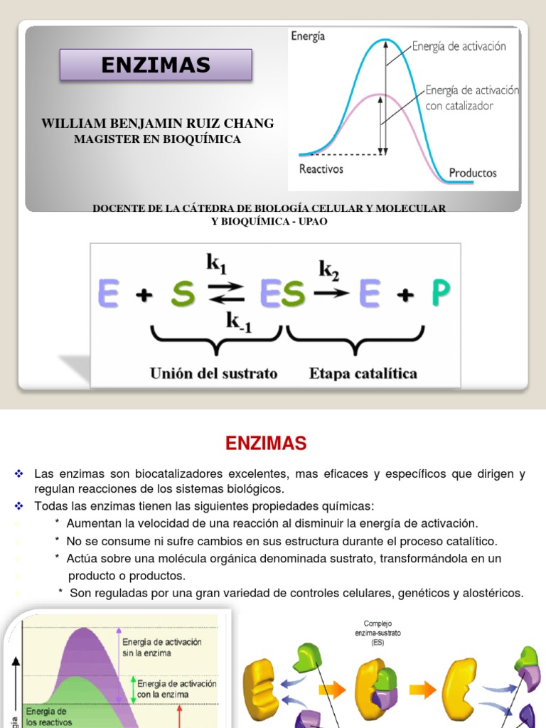 enzimas.pdf | Enzima | Inhibidor de la enzima