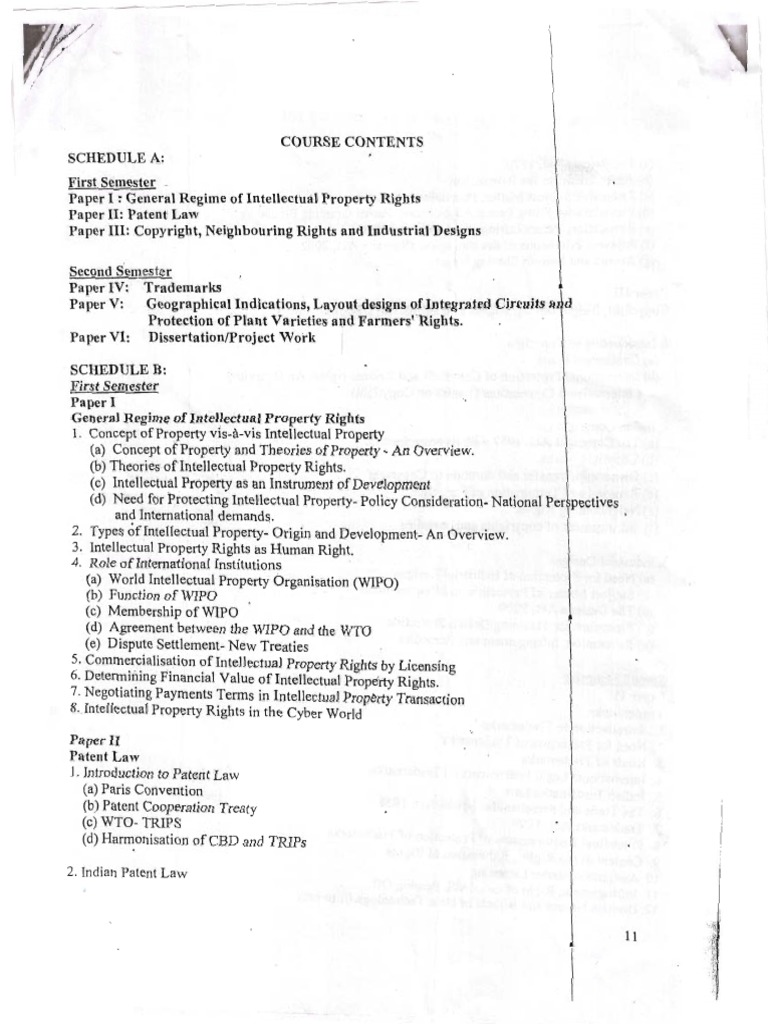 BHU PG Diploma in IPR Syllabus | PDF | Trademark | Patent