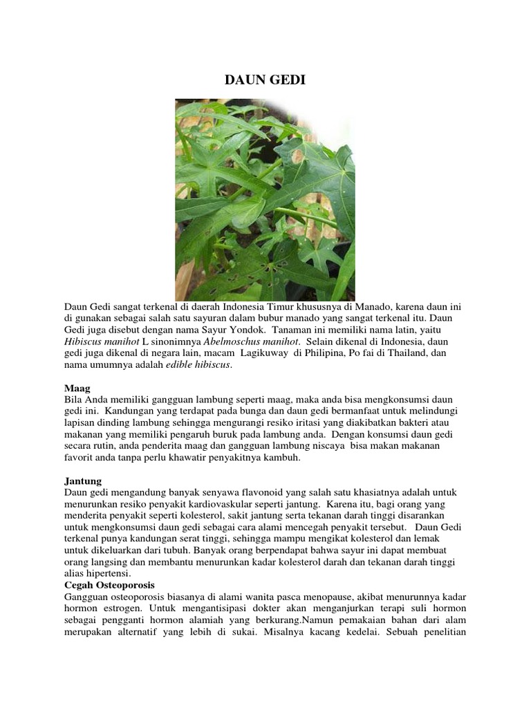 Daun Gedi | PDF | Griya & Taman | Kesehatan Holistik