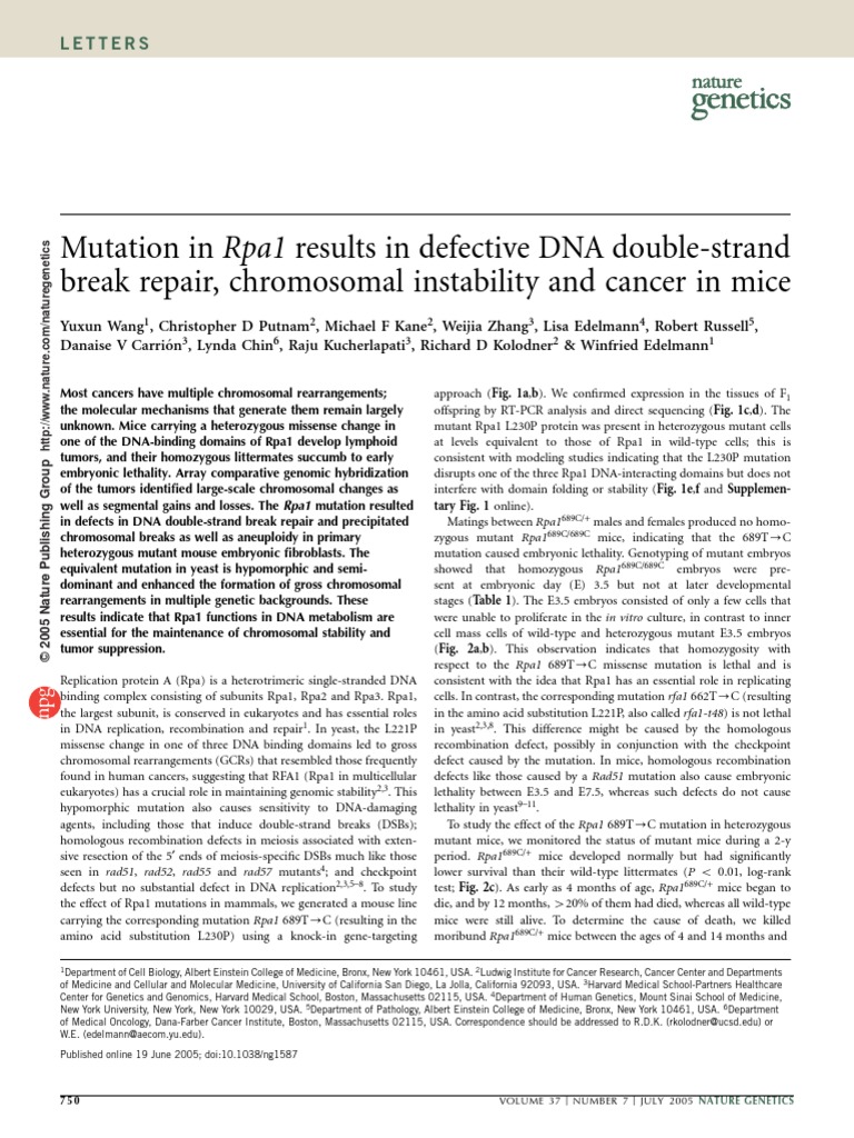 Genetics Paper | PDF | Mutation | Neoplasms