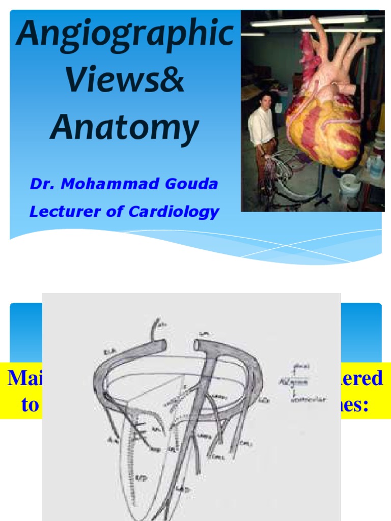 Angiographic Views - 30 - 12 - 13 PDF | PDF | Anatomical Terms Of ...