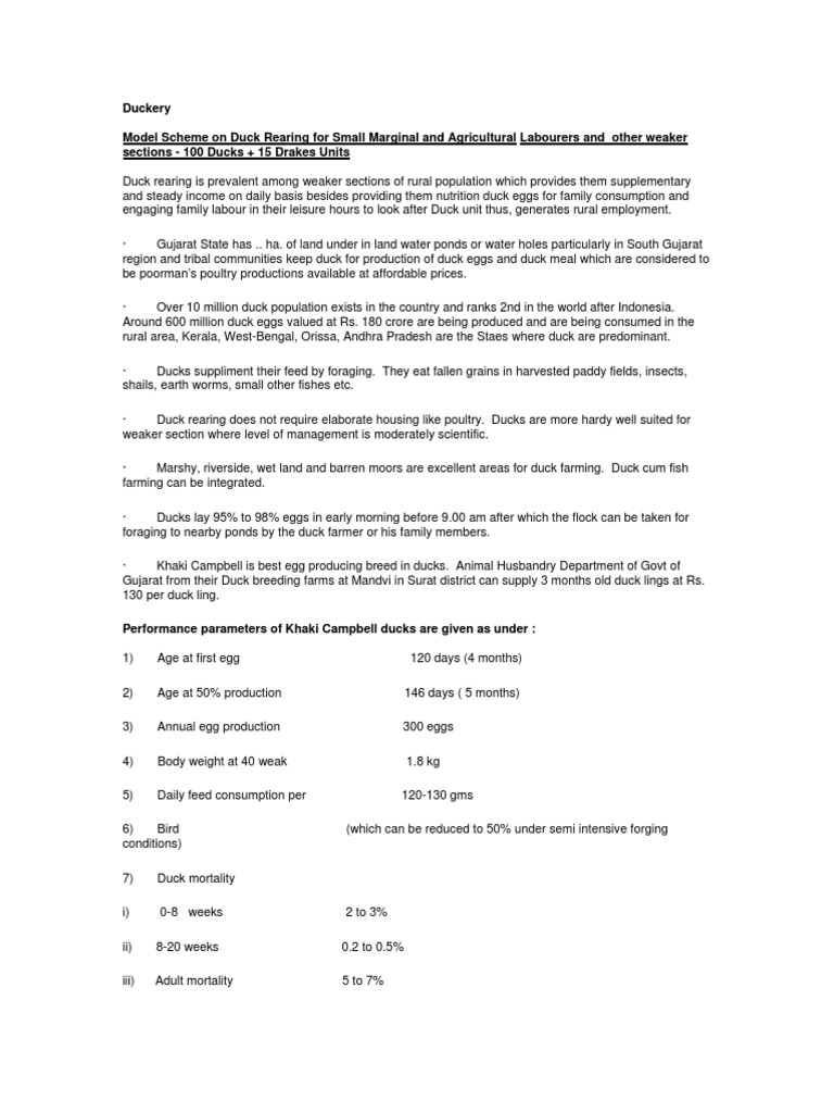 Duckery PDF | PDF | Discounting | Poultry
