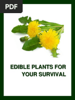 Edible Wild Plants Field Guide | PDF | Berry | Vegetables