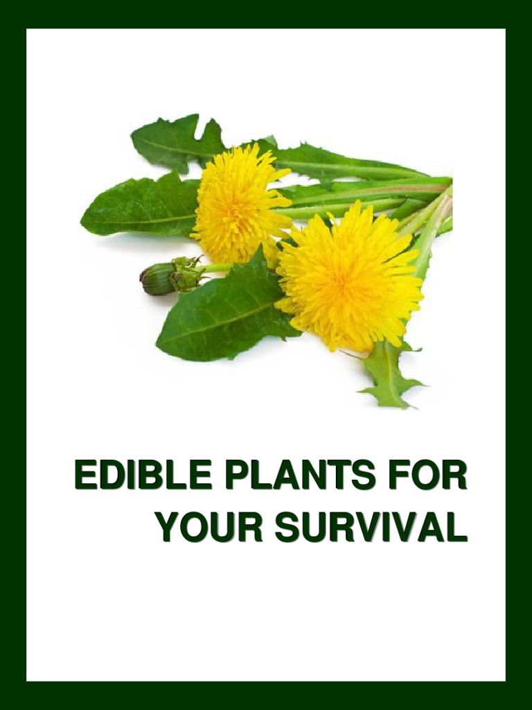 A Basic Guide To Edible Plants | PDF | Edible Mushroom | Seed