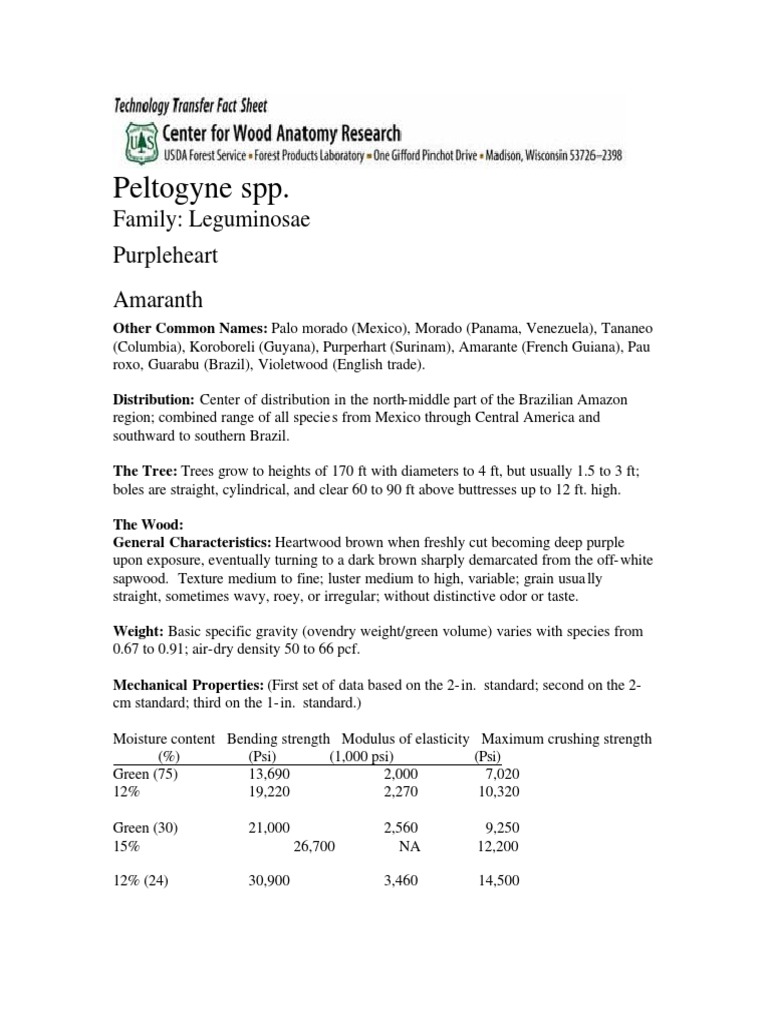 Peltogyne SPP.: Family: Leguminosae Purpleheart Amaranth | PDF | Wood ...