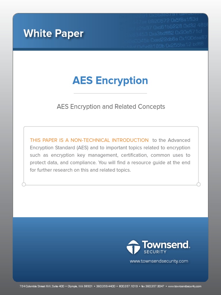 White Paper: AES Encryption | PDF | Information Security | Cryptography