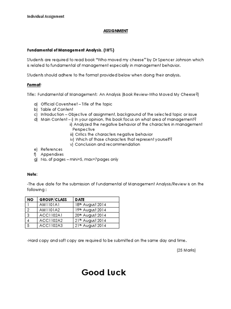 Good Luck: Individual Assignment | PDF