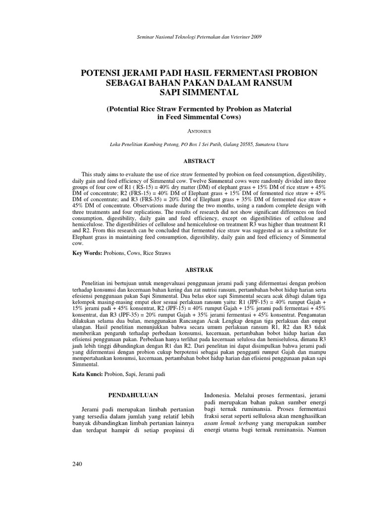 Pro09 Antonius PDF | PDF