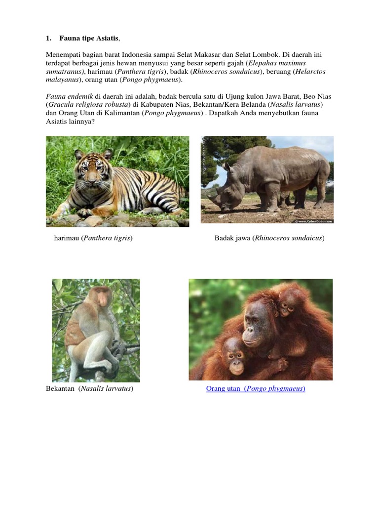 Fauna Tipe Asiatis | PDF