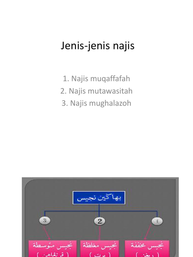 Jenis-Jenis Najis | PDF