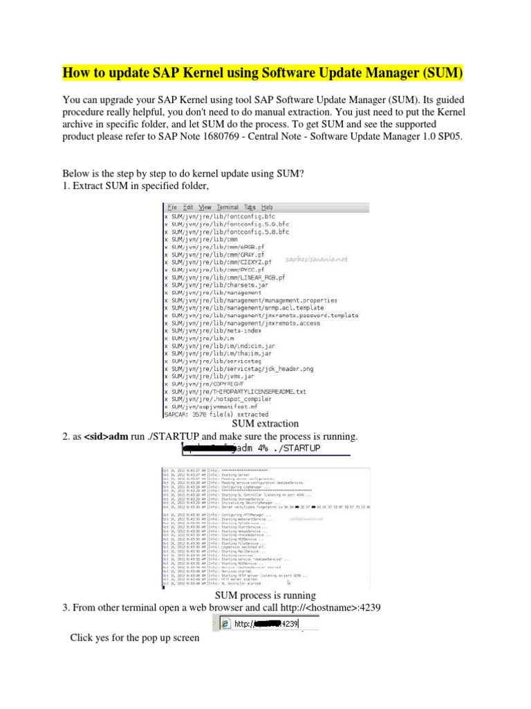Kernel - Upgrade Using SUM - Software Update Manager | PDF | Kernel ...