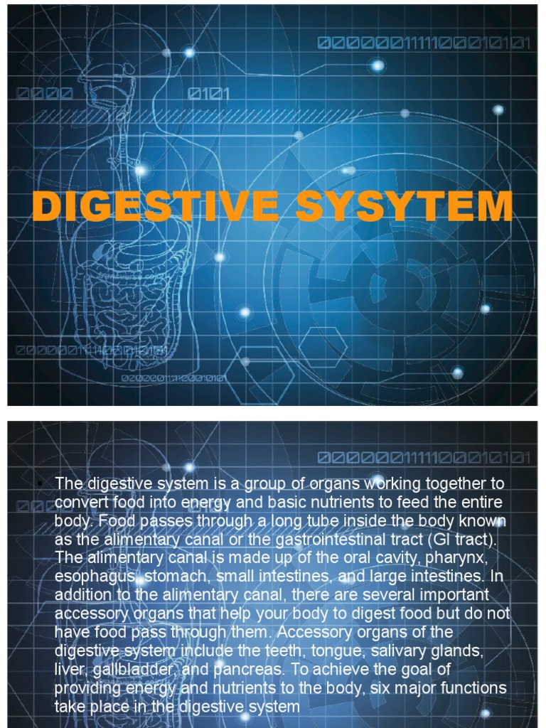 Digestive System | PDF | Human Digestive System | Digestion