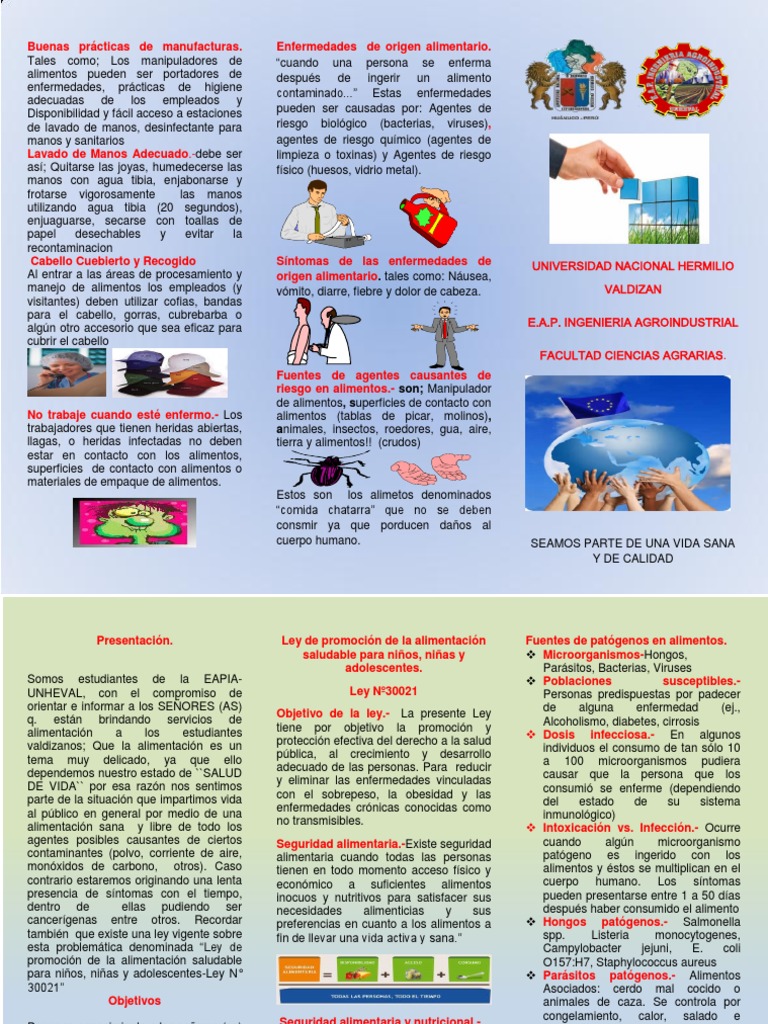 Triptico Bioseguridad | PDF | Infección | Alimentos
