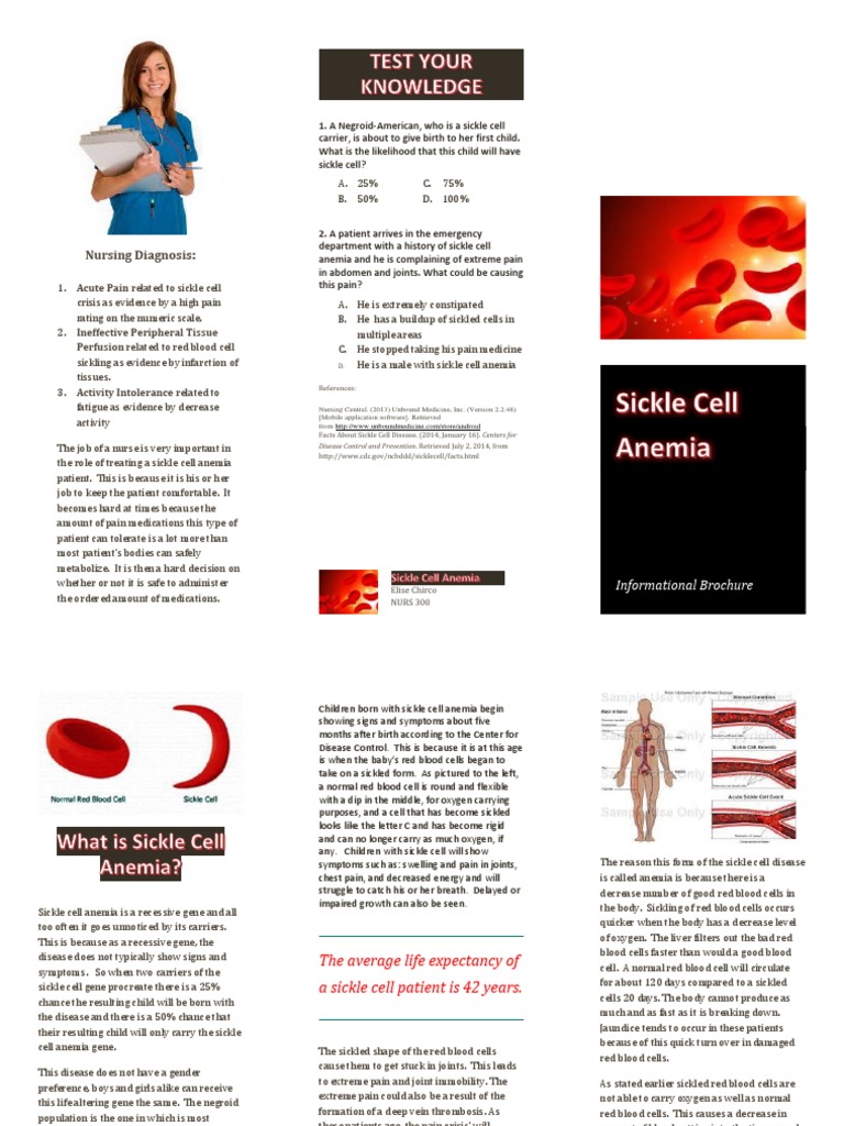 Sickle Cell Brochure | PDF | Sickle Cell Disease | Vein