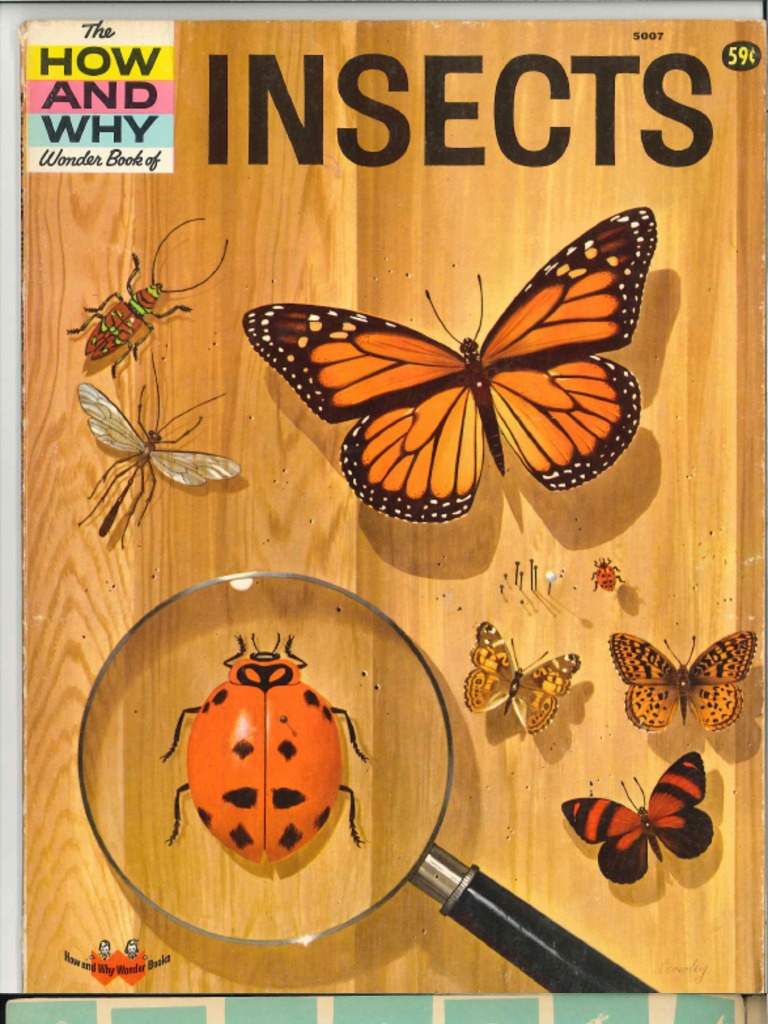 How and Why Wonder Book of Insects | PDF | Books