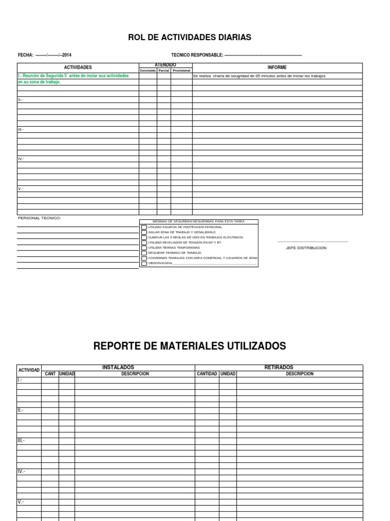 Rol de Actividades Diario | PDF