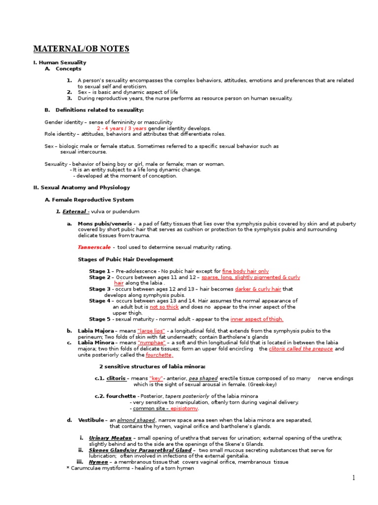 Maternal and Reproductive Health | PDF | Menstrual Cycle | Implantation ...