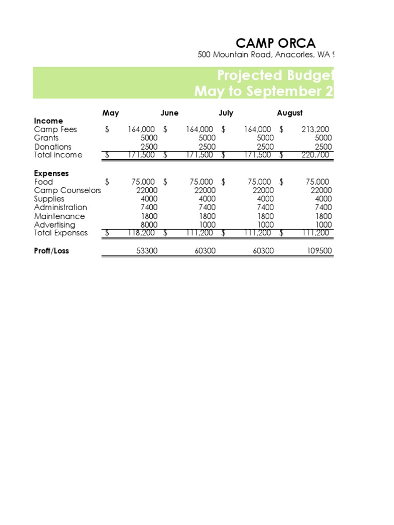 Camp Orca Budget Overview 2013 | PDF | Business | Sports & Recreation
