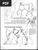 The Complete Guide To Anatomy For Artists & Illustrators Drawing The ...